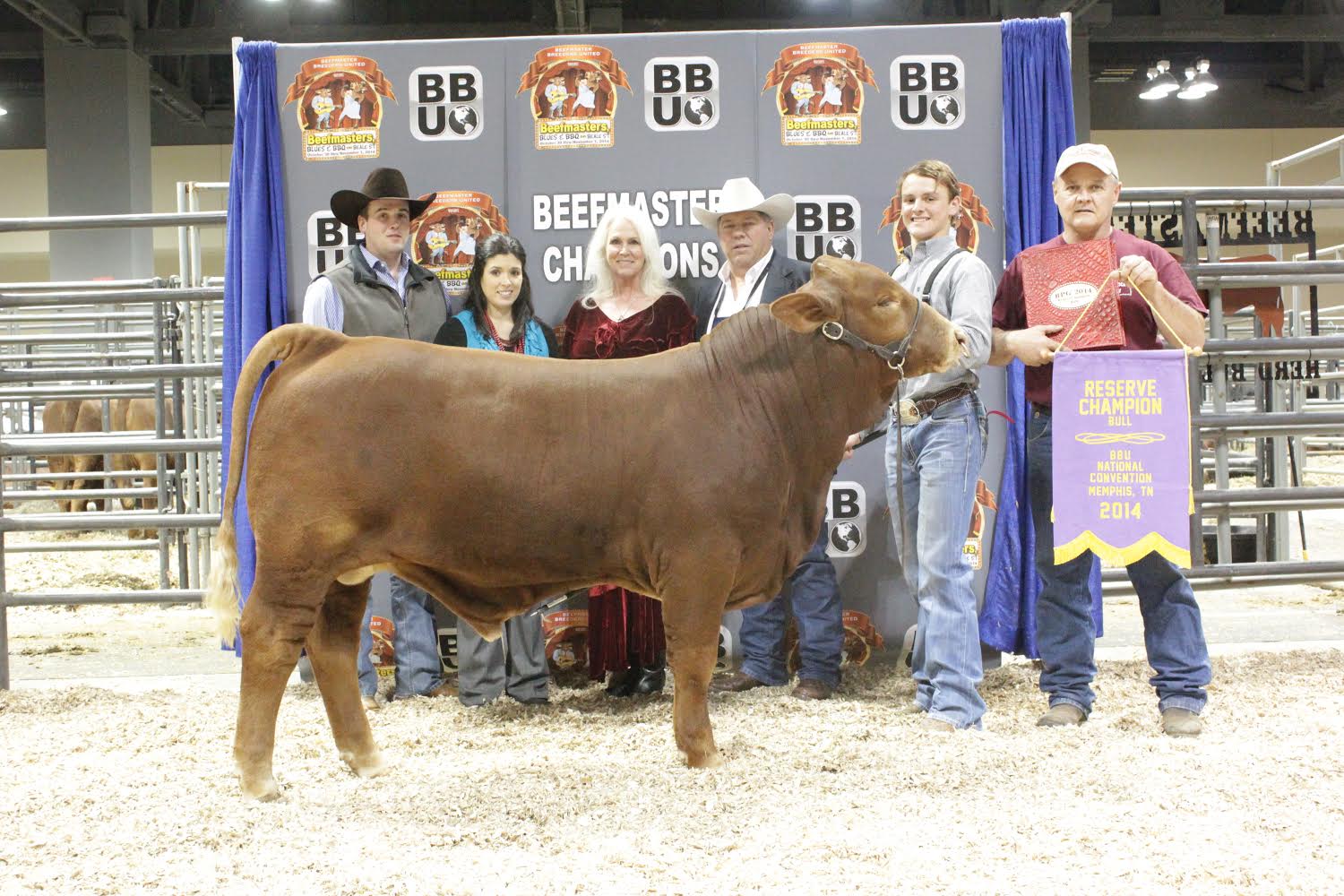 Beefmaster Promotion Group - Photo Gallery - View